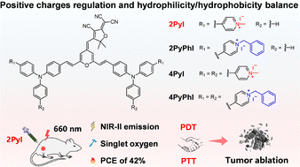 Molecular engineering of ionic organic phototheranostic agents for NIR ...
