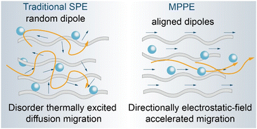 A dipole-aligned polymer electrolyte enabling directed Li+ migration ...