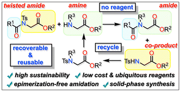 Non-catalytic low-cost and sustainable amidation using a twisted amide ...