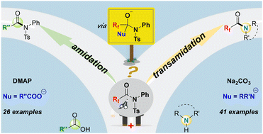 Divergent transformations of N-phenyl-N-tosylfluoroacetamides to amides ...