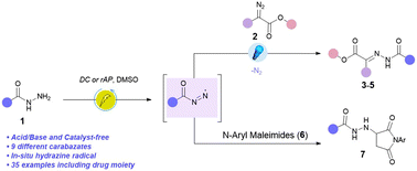 A divergent electrochemical platform for diazene radical generation and ...