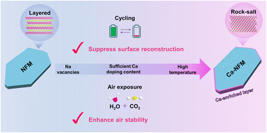 Bulk Ca-doping-induced surface modification enabling high-performance ...
