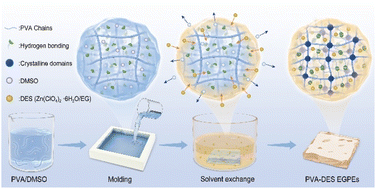 Fabrication of robust eutectic gel polymer electrolytes for high ...
