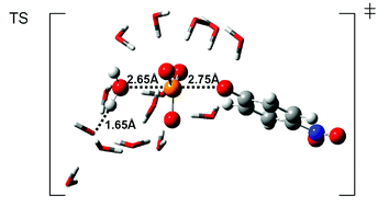 Supermolecule density functional calculations suggest a key role for ...