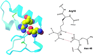 Role of a salt bridge in the model protein crambin explored by chemical ...