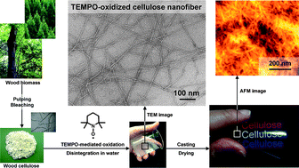 TEMPO-oxidized cellulose nanofibers - Nanoscale (RSC Publishing)