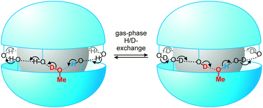 Gas-phase H/D-exchange reactions on resorcinarene and pyrogallarene ...