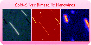 Gold–silver bimetallic porous nanowires for surface-enhanced Raman ...