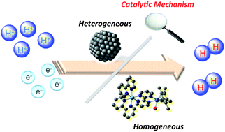 Catalytic mechanisms of hydrogen evolution with homogeneous and ...
