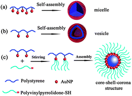 Self-assembly of polystyrene with pendant hydrophilic gold ...
