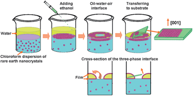 Oil/water interfacial self-assembly for the organization of hydrophobic ...