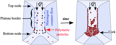 Foam drainage study during plateau border mineralisation - Soft Matter ...