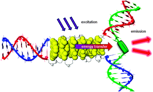 A modular LHC built on the DNA three-way junction - Chemical ...