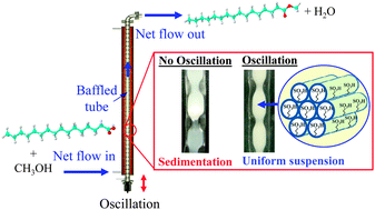 Heterogeneous catalysis in an oscillatory baffled flow reactor ...
