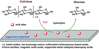 Hydrolysis of cellulose to glucose by solid acid catalysts - Green ...