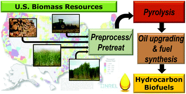 Biomass feedstocks for renewable fuel production: a review of the ...