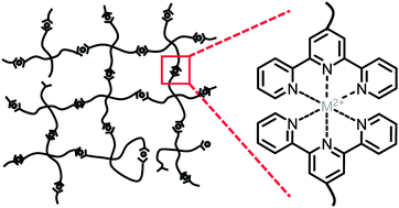Supramolecular polymer gels with potential model-network structure - Polymer Chemistry (RSC ...