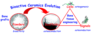 Bioactive ceramics: from bone grafts to tissue engineering - RSC ...