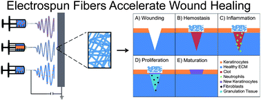 Designing electrospun nanofiber mats to promote wound healing – a review - Journal of Materials ...