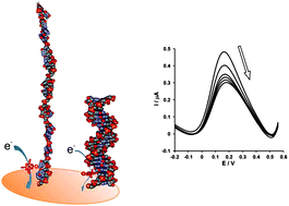 A highly sensitive electrochemical genosensor based on Co-porphyrin ...