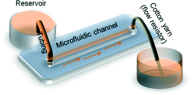 Siphon-driven microfluidic passive pump with a yarn flow resistance ...