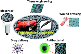 Emerging chitin and chitosan nanofibrous materials for biomedical ...
