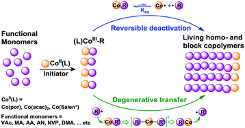 Reversible deactivation radical polymerization mediated by cobalt ...