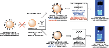 Controlling colloidal stability of silica nanoparticles during ...