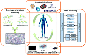 An introduction to systems toxicology - Toxicology Research (RSC ...