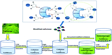 Design of a thermoregulated phase-separable system for homogeneous ...