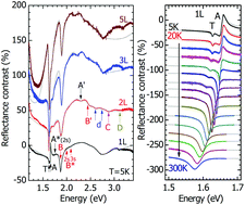 Exciton band structure in layered MoSe2: from a monolayer to the bulk ...