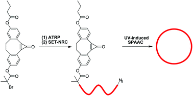 Cyclic polymers based on UV-induced strain promoted azide–alkyne ...
