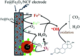 Removal of 17β-estrodial in a bio-electro-Fenton system: contribution ...