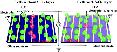 Dielectric passivation layer as a substratum on localized single-cell ...