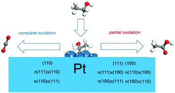 Elucidation of the surface structure–selectivity relationship in ...