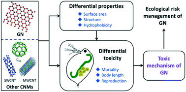 The mechanism of chronic toxicity to Daphnia magna induced by graphene ...