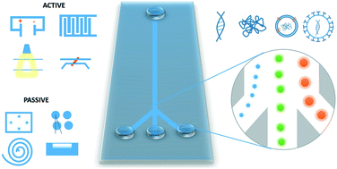 Advancements in microfluidics for nanoparticle separation - Lab on a ...