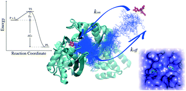 Protein–ligand (un)binding kinetics as a new paradigm for drug ...