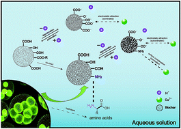 N-Doped biochar derived from co-hydrothermal carbonization of rice husk ...