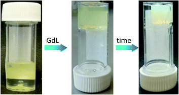On the syneresis of an OPV functionalised dipeptide hydrogel - Soft ...
