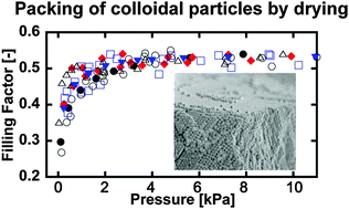 Formation kinetics of particulate films in directional drying of a ...