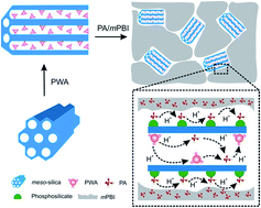 Exceptional durability enhancement of PA/PBI based polymer electrolyte ...