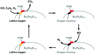 Role of lattice oxygen and oxygen vacancy sites in platinum group metal ...