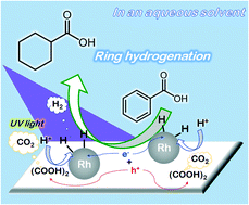 Ring hydrogenation of aromatic compounds in aqueous suspensions of an ...