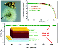 ISEP: Integrated Structural Electrodynamic Propulsion