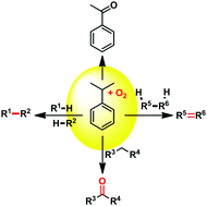 The cumene/O2 system: a very simple tool for the radical chain ...