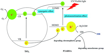 Highly efficient photocatalytic degradation of methylene blue by P2ABSA ...