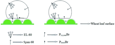 Positive charge pesticide nanoemulsions prepared by the phase inversion ...