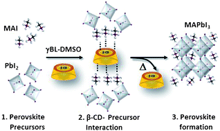 Connecting the solution chemistry of PbI2 and MAI: a cyclodextrin-based ...