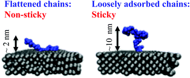 Structure-induced switching of interpolymer adhesion at a solid–polymer ...